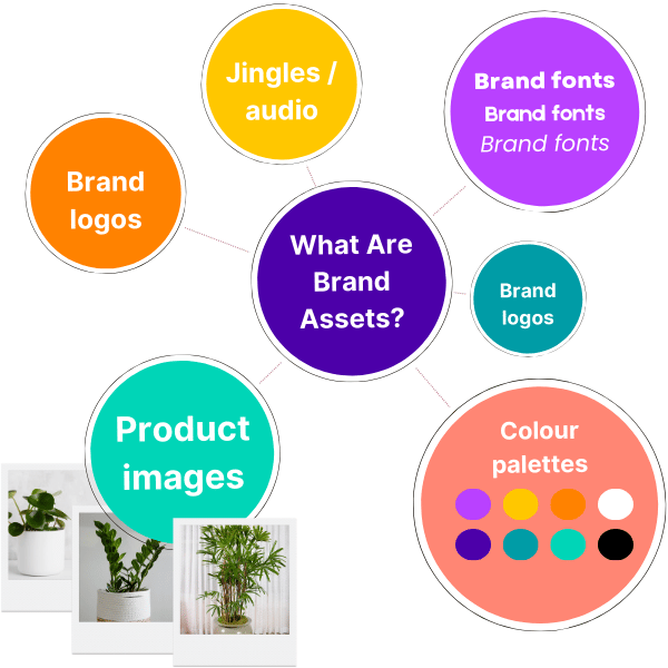 What's Brand Asset Management?